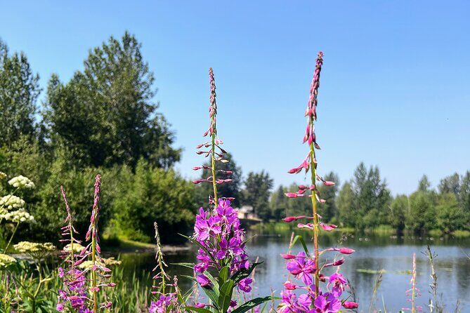 Anchorage Greenbelt Bike Tour