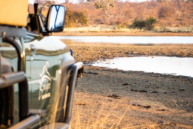 Bundox Big 5 Afternoon Game Drive