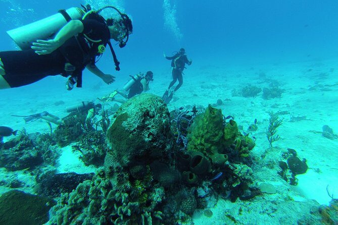 Chankanaab Cozumel Scuba Diving