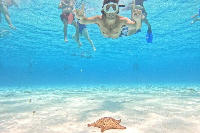 Excursion to Cozumel from Cancun