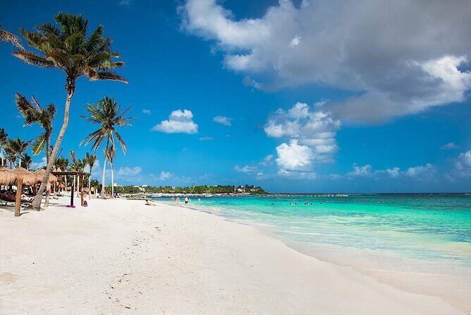 Half Day Private Snorkeling with Turtles and Majestic Cenotes