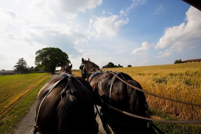 NYC: Philadelphia, Washington DC & Amish Country 2-Day Tour