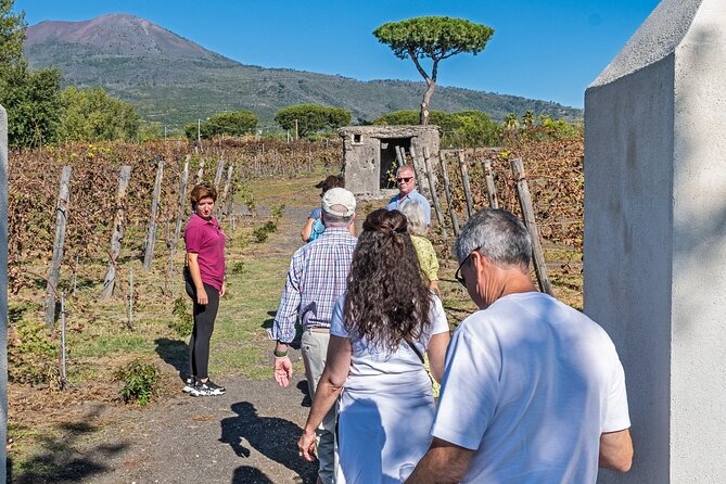 Pompeii Vesuvius Day Tour From Naples With Italian Lunch and Wine