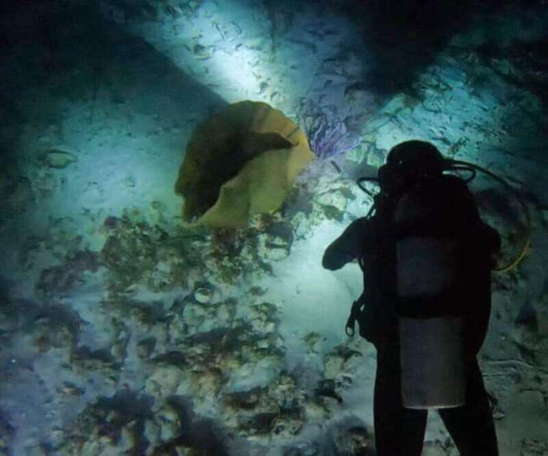 Puerto Morelos: Ojo de Agua Night Dive for Certified Divers