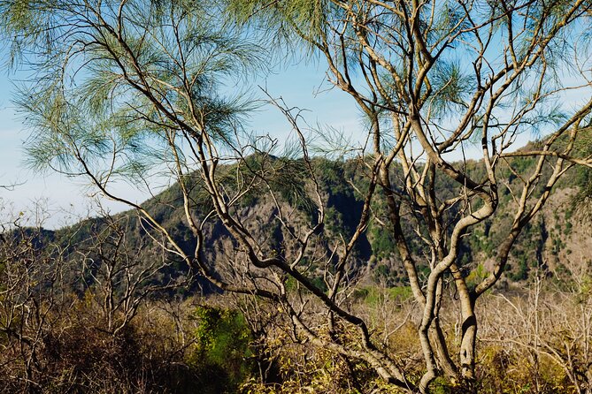 Skip the Line Ticket for Mount Vesuvius