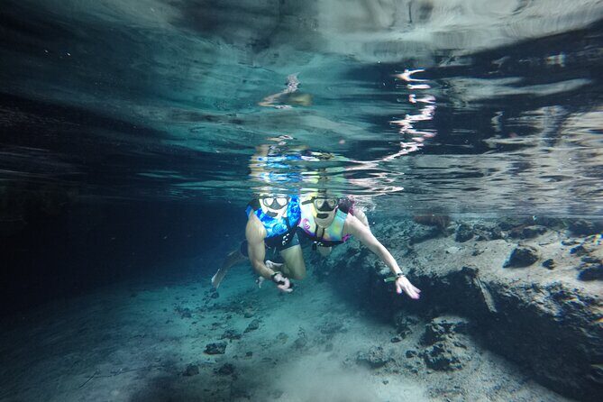 Snorkeling with Sea Turtles and Cenote Adventure