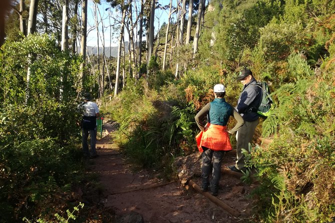 Walk on the Back Table of Table Mountain